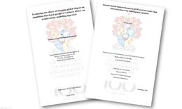 Formatting Your Thesis